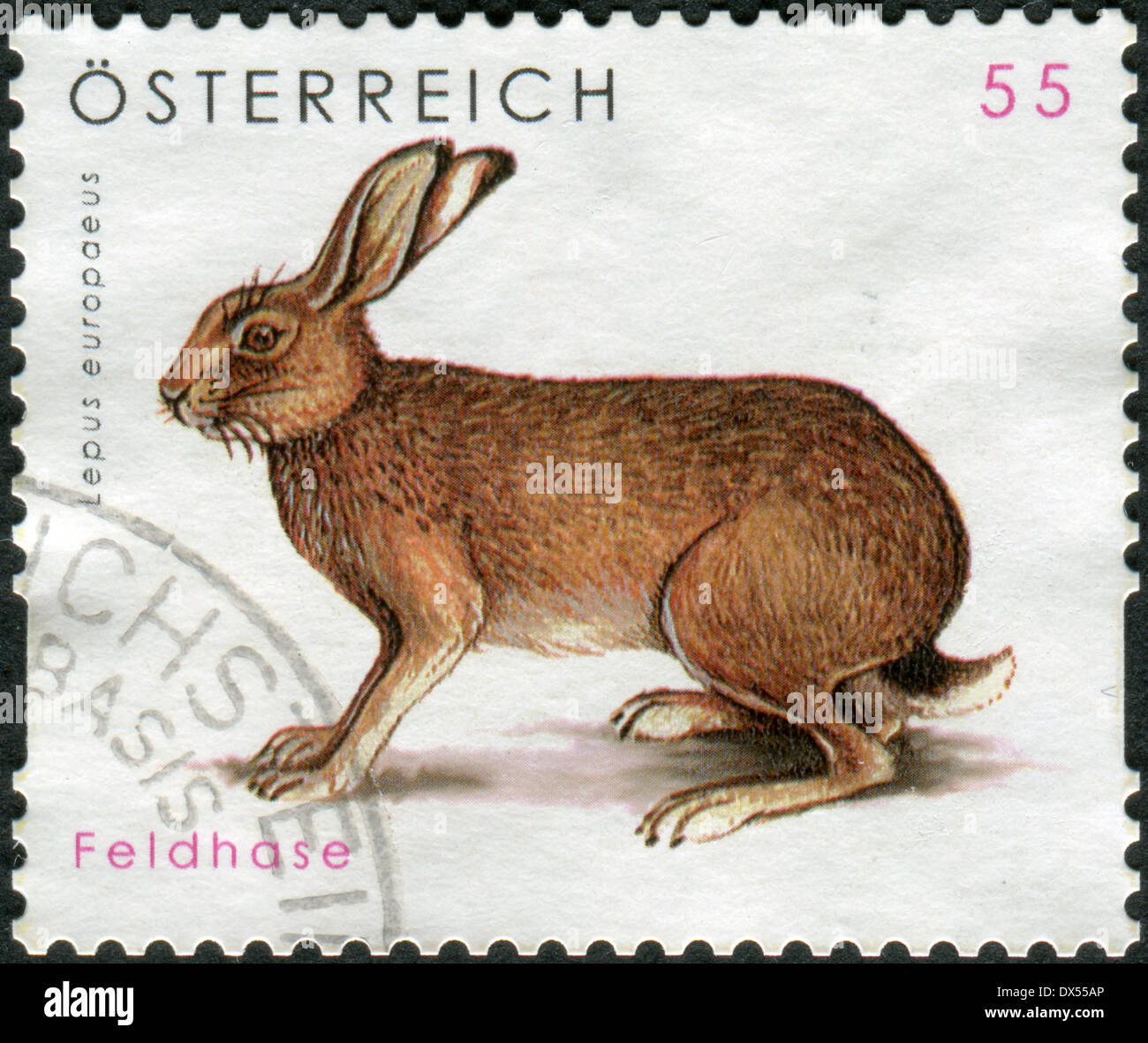 AUSTRIA - CIRCA 2008: Postage stamp printed in Austria, shows the ...