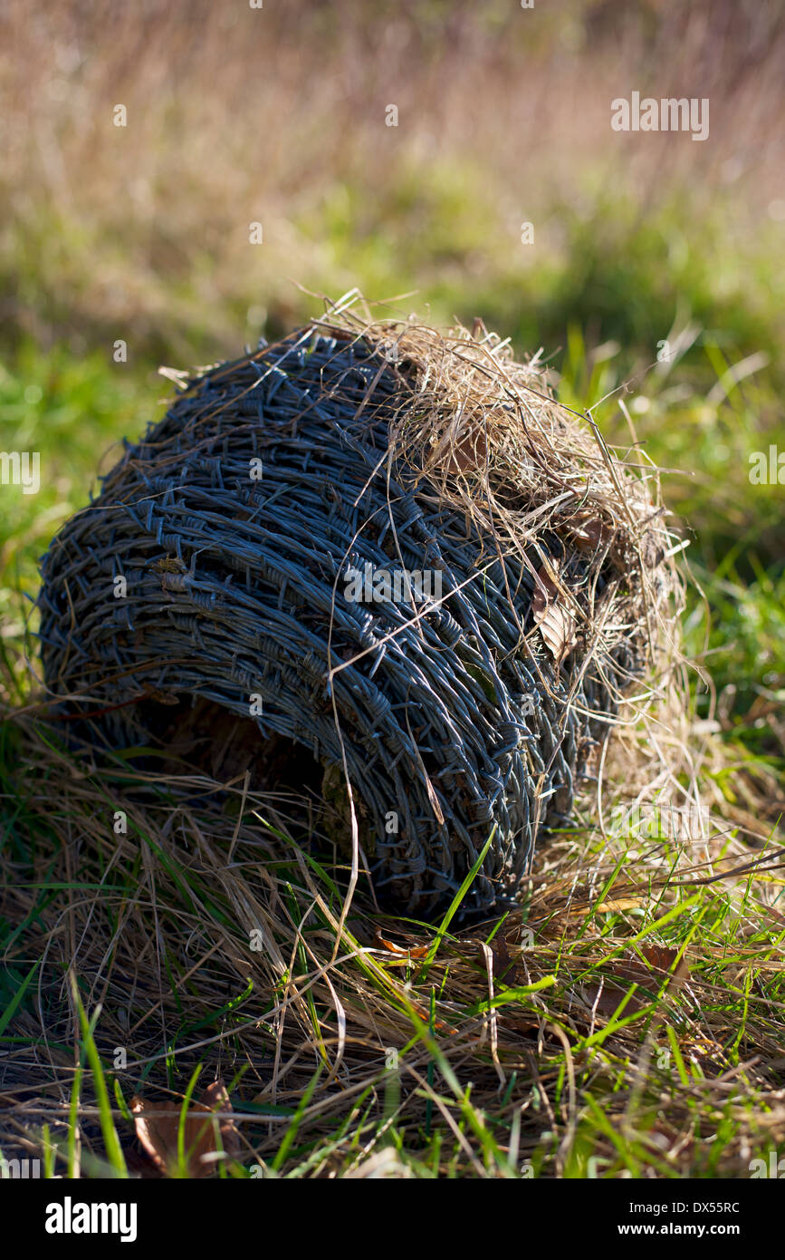 Barbed wire coil bale abandoned hi-res stock photography and images - Alamy