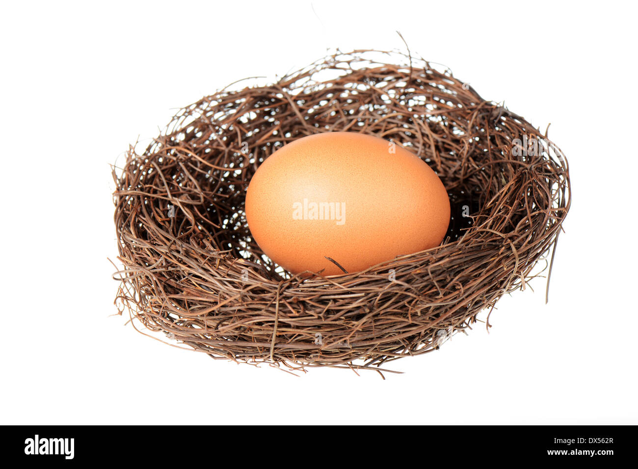 Bird's nest with an egg isolated on a white background Stock Photo - Alamy