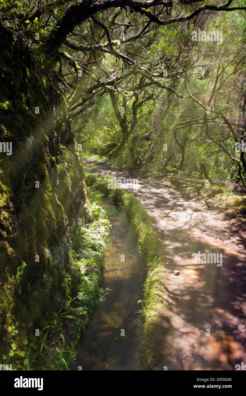 Levada das 25 Fontes, Levada of 25 natural springs, artificial ...