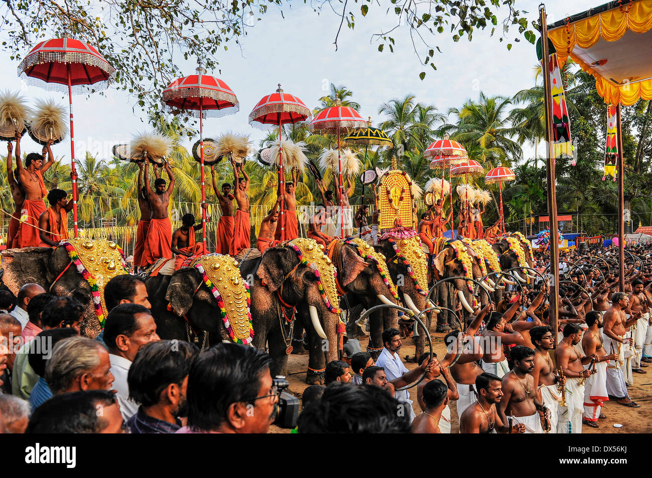 Decorated Temple Elephants High Resolution Stock Photography and Images ...