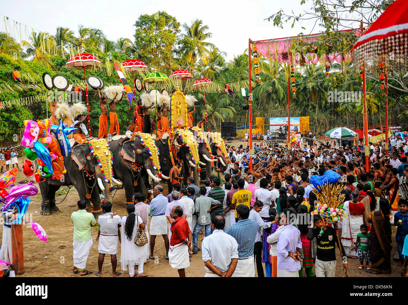 Hindu temple festival with many elephants, Thrissur, Kerala, South ...