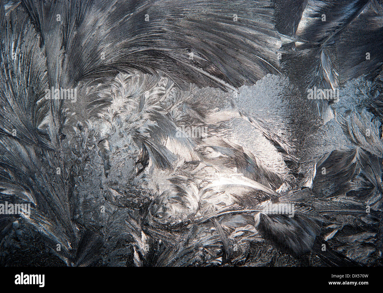 Frost pattern close up hi-res stock photography and images - Alamy