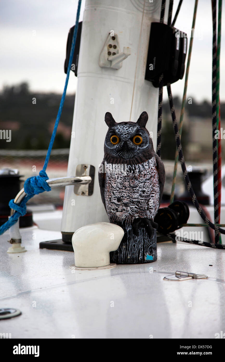 Weather Owl on deck of sailing boat Stock Photo - Alamy