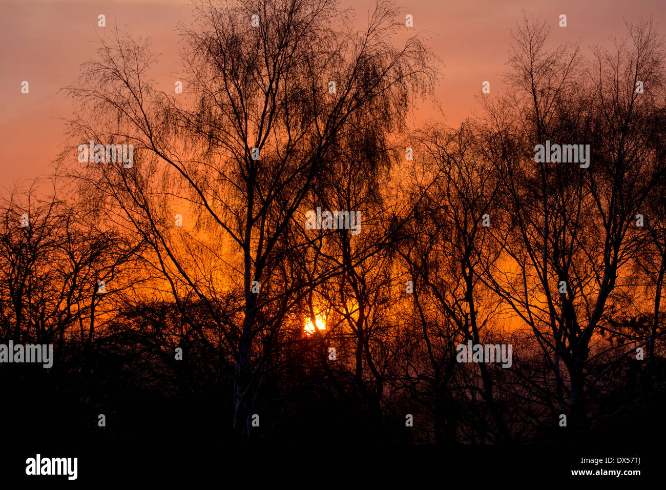 Todwick hi-res stock photography and images - Alamy