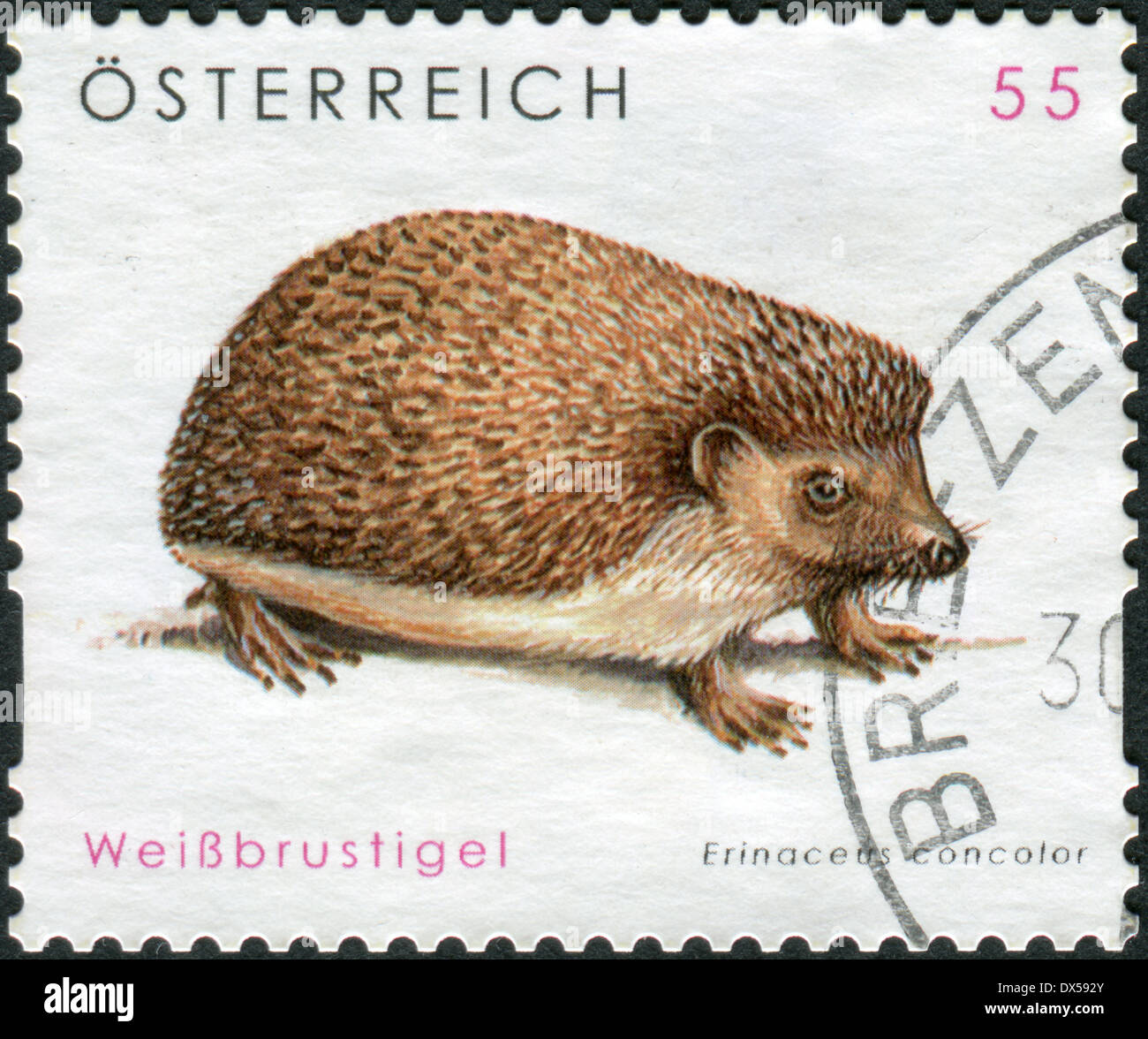 Postage stamp printed in Austria, shows a southern white-breasted ...