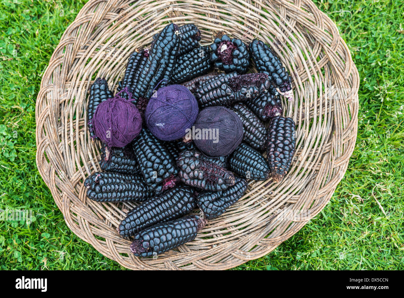natural dyed wool yarn in the peruvian Andes at Cuzco Peru Stock Photo ...