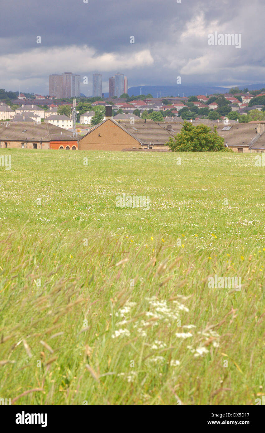 The Red Road flats and the end of the Campsie Fell from Tollcross Park ...