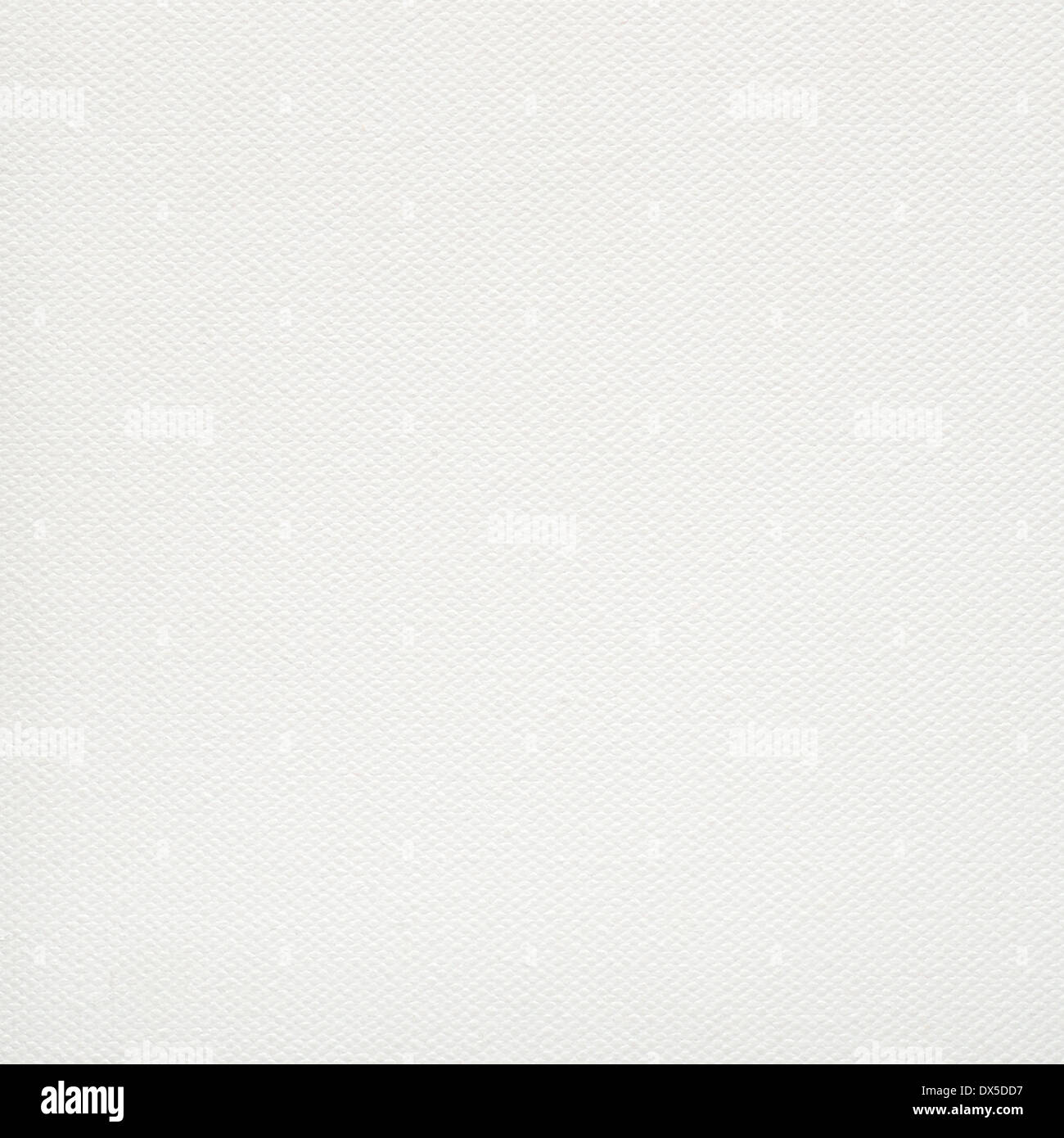 White primed canvas texture Stock Photo - Alamy