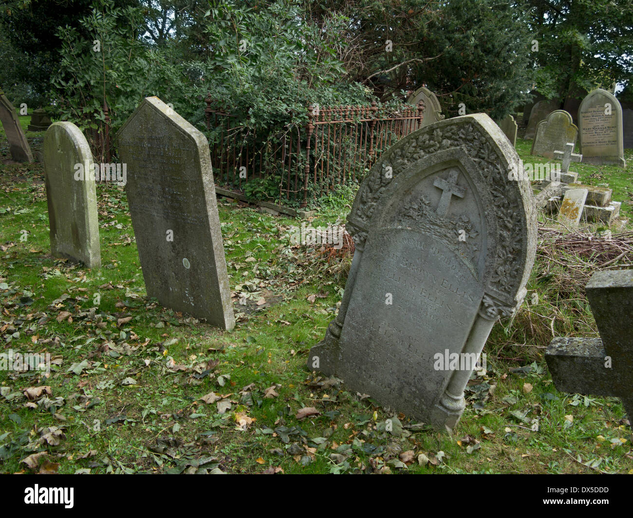 Tree cemetery graves norfolk uk hi-res stock photography and images - Alamy
