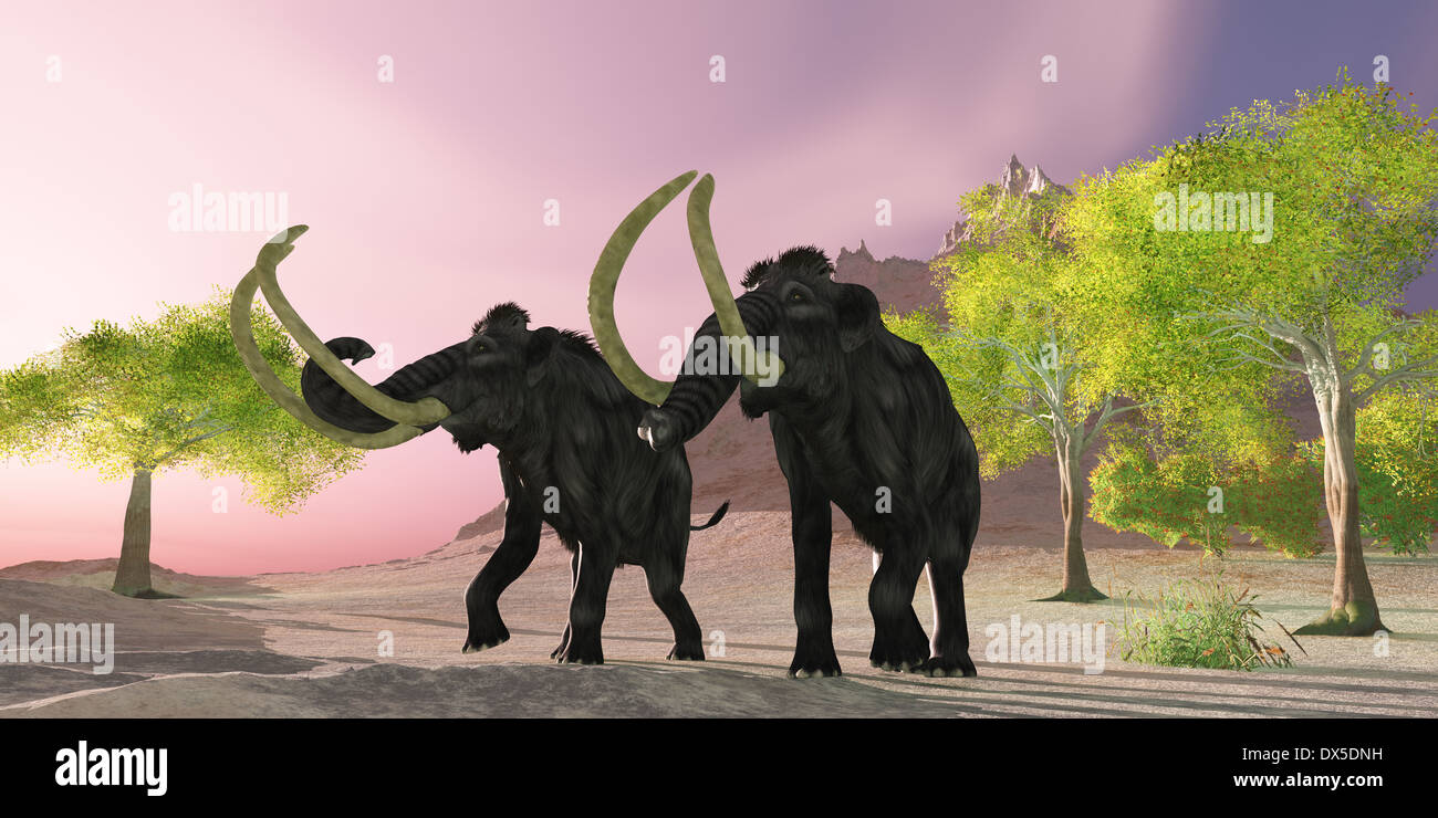 Woolly mammoths hi-res stock photography and images - Alamy