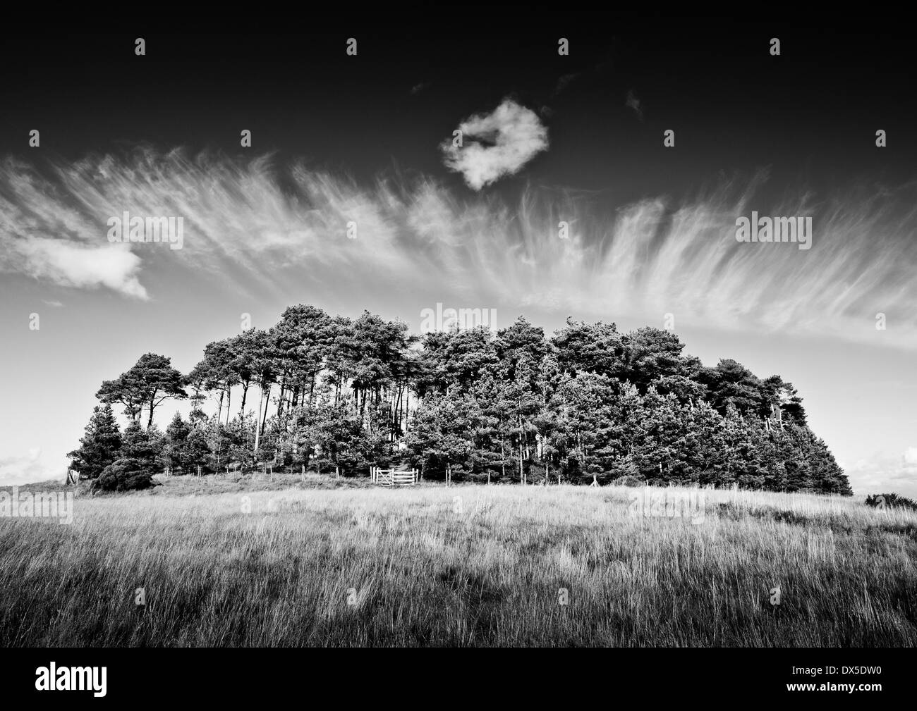 Bromlow hi-res stock photography and images - Alamy