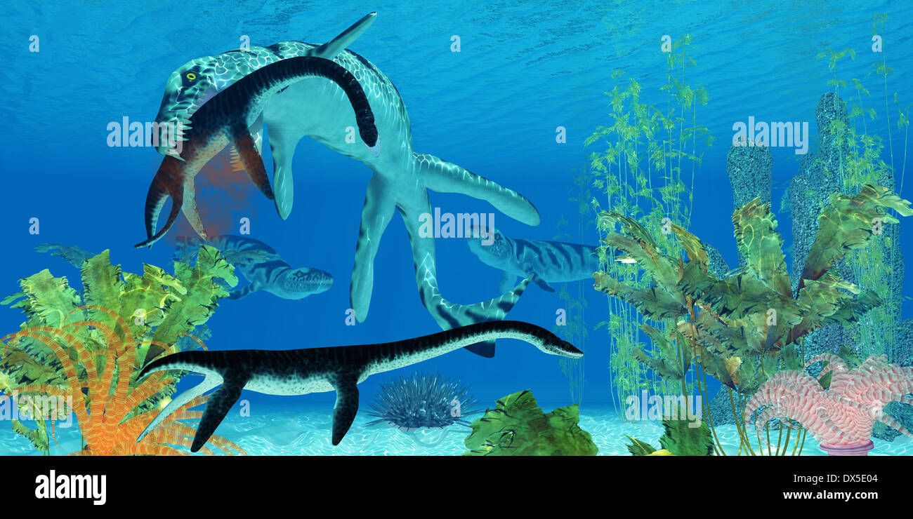 A Dakosaurus attacks a small Plesiosaurus in the clear waters of a ...