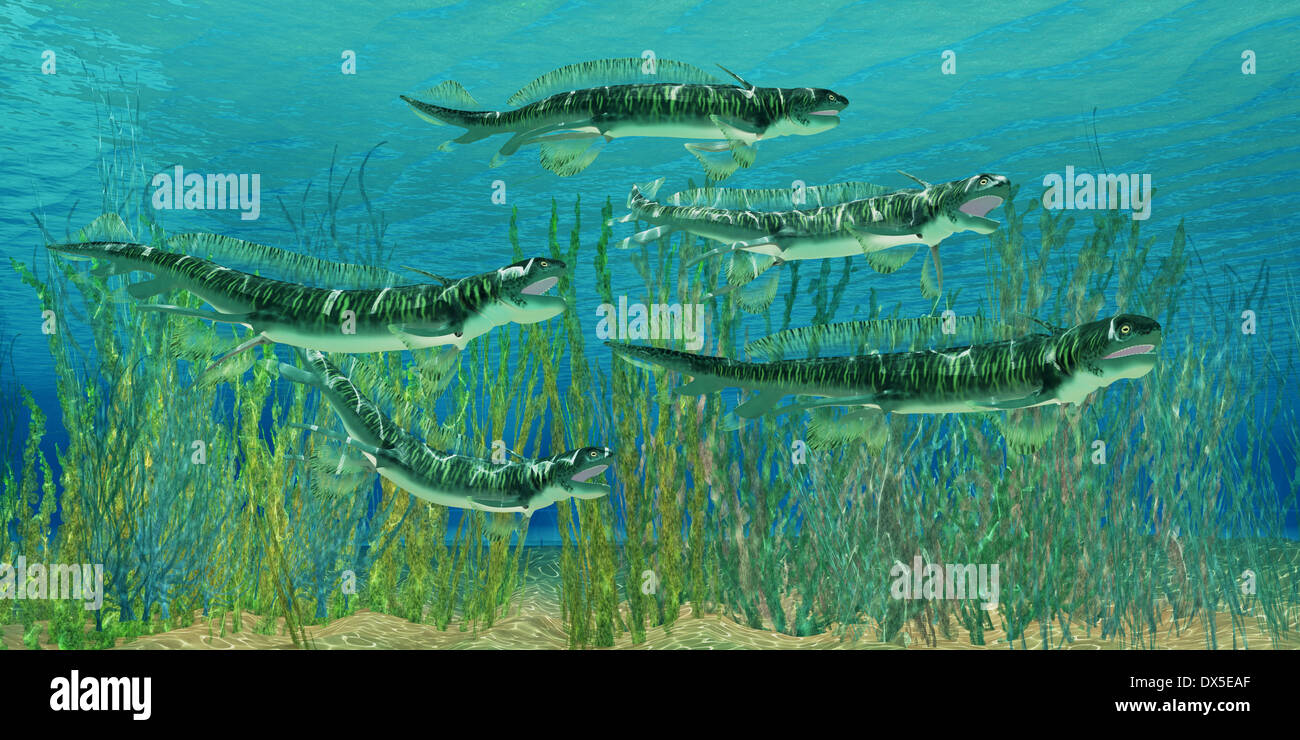 Orthacanthus was a freshwater shark that thrived in the Devonian Period ...