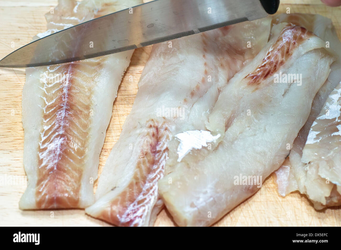 Pacific pollock hi-res stock photography and images - Alamy
