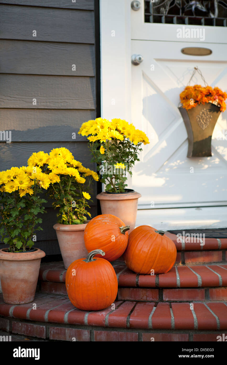Stoop hi-res stock photography and images - Alamy