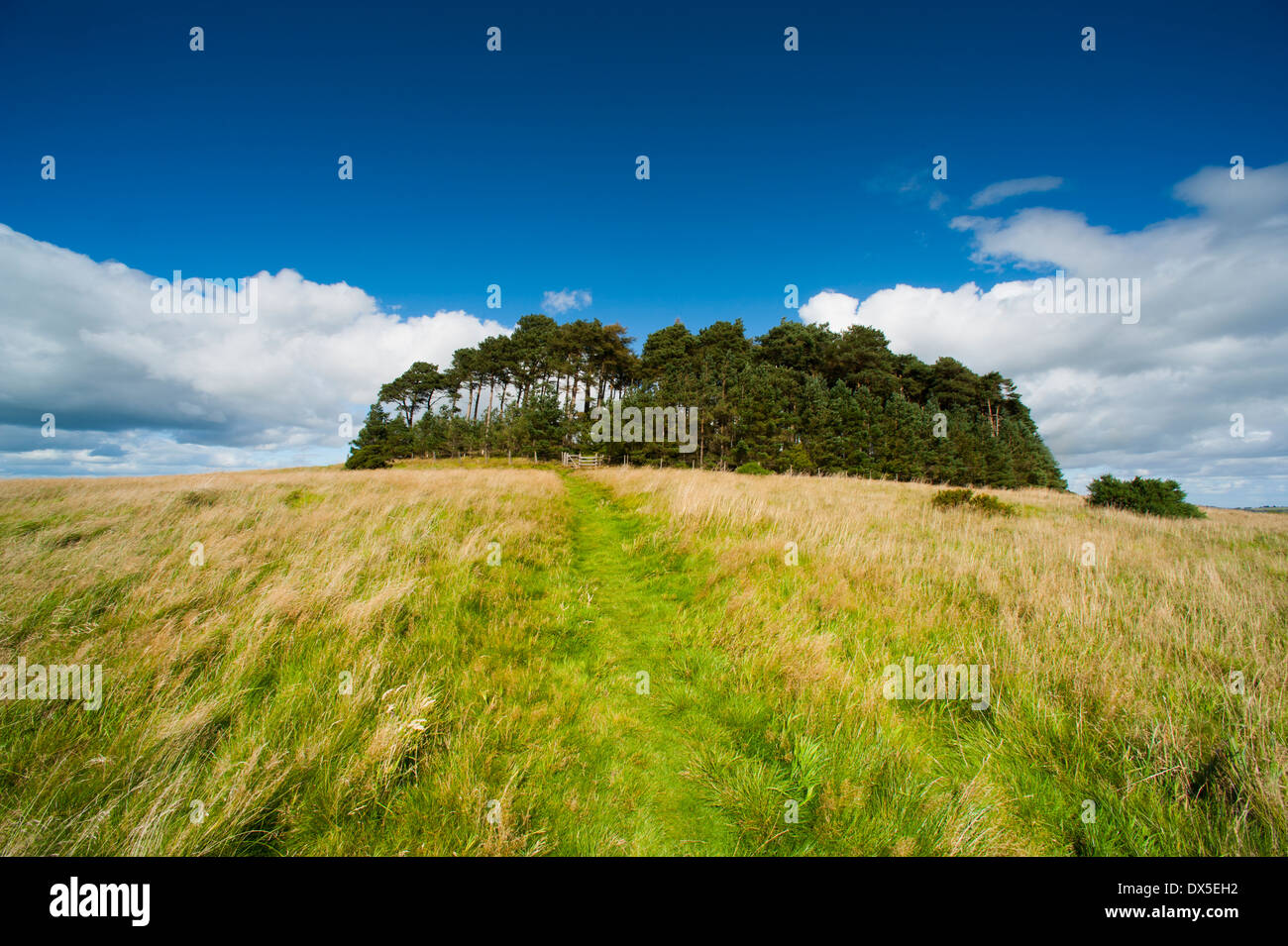 Bromlow Callow hill, South Shropshire, England Stock Photo - Alamy