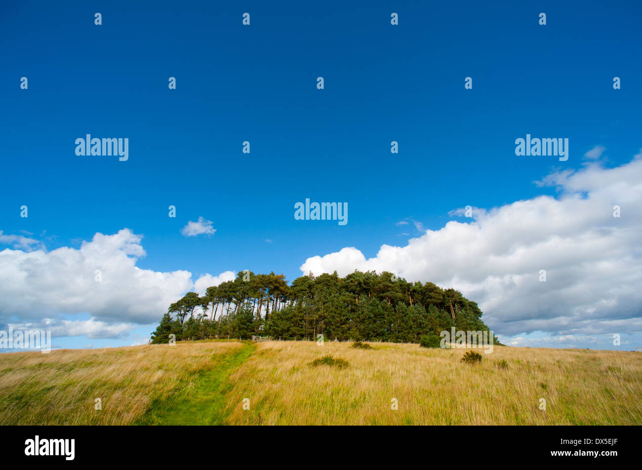 Bromlow hi-res stock photography and images - Alamy