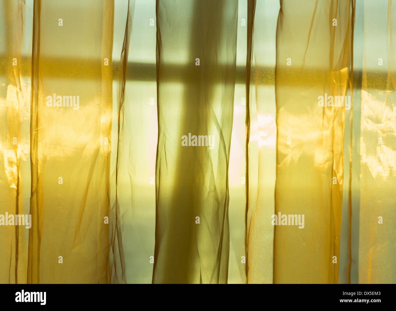 Sunlight, sunshine through window streams into a room through thin ...