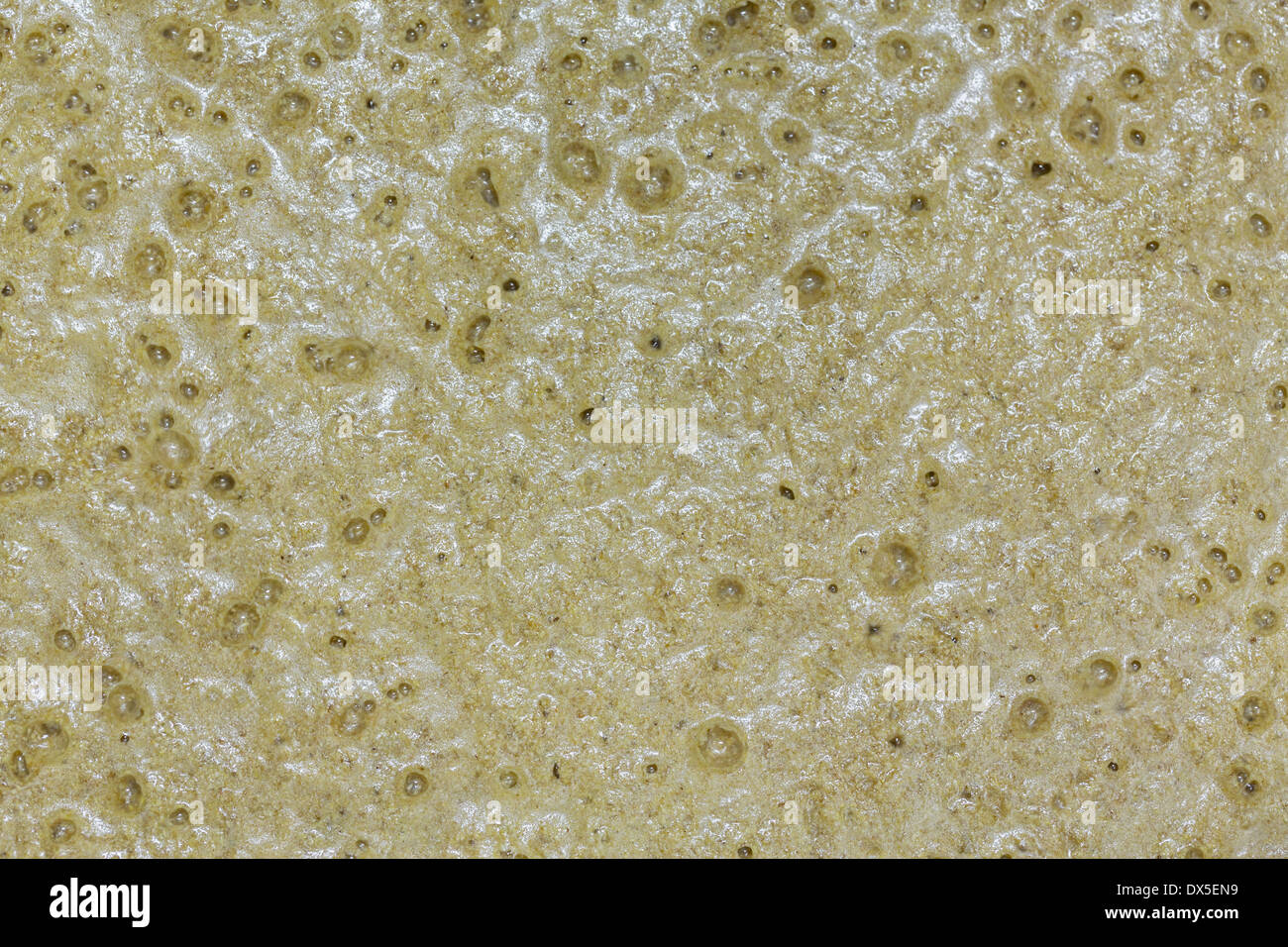 Mash fermentation hi-res stock photography and images - Alamy