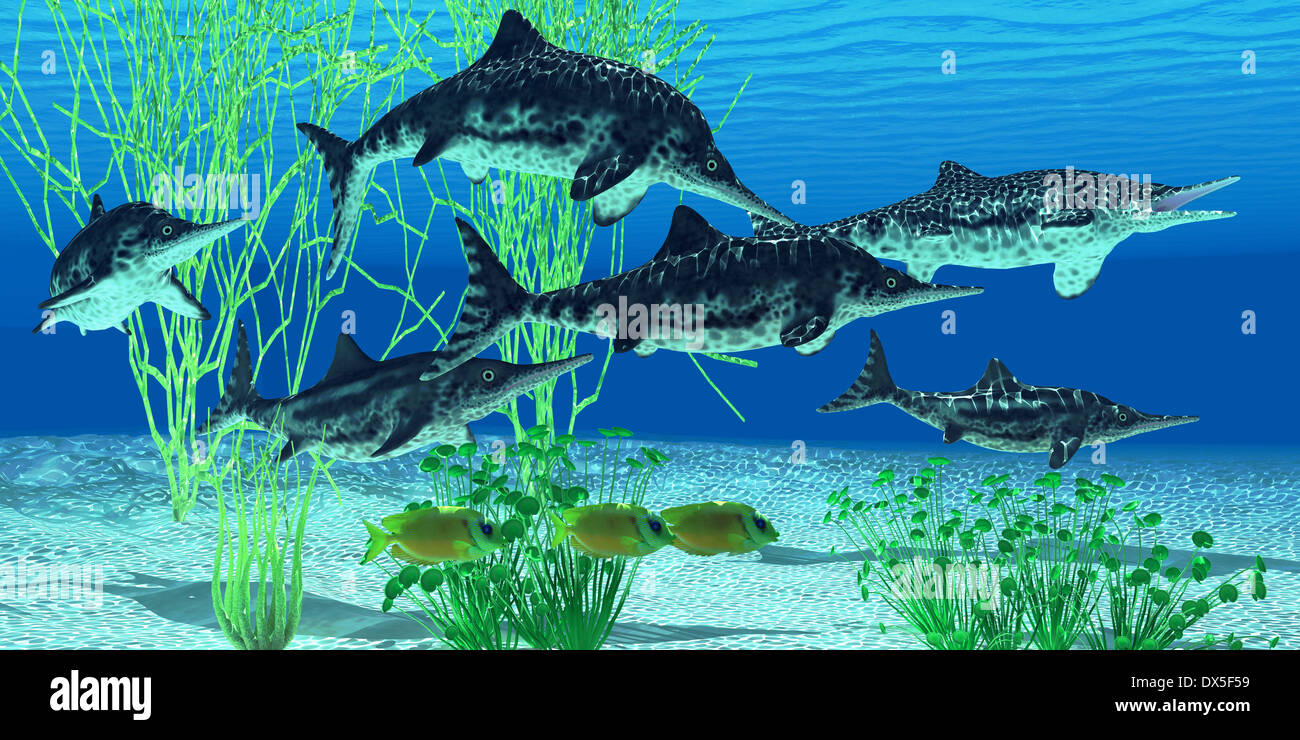 Stenopterygius is an extinct Ichthyosaur from the Jurassic Age of ...