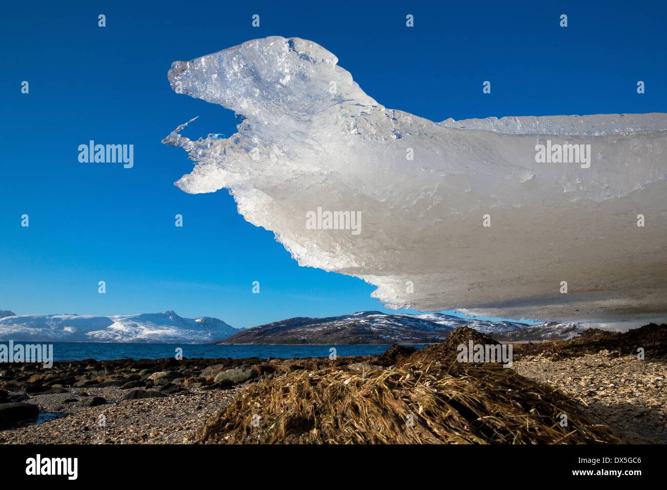 Ice On The Beach Stock Photo - Alamy