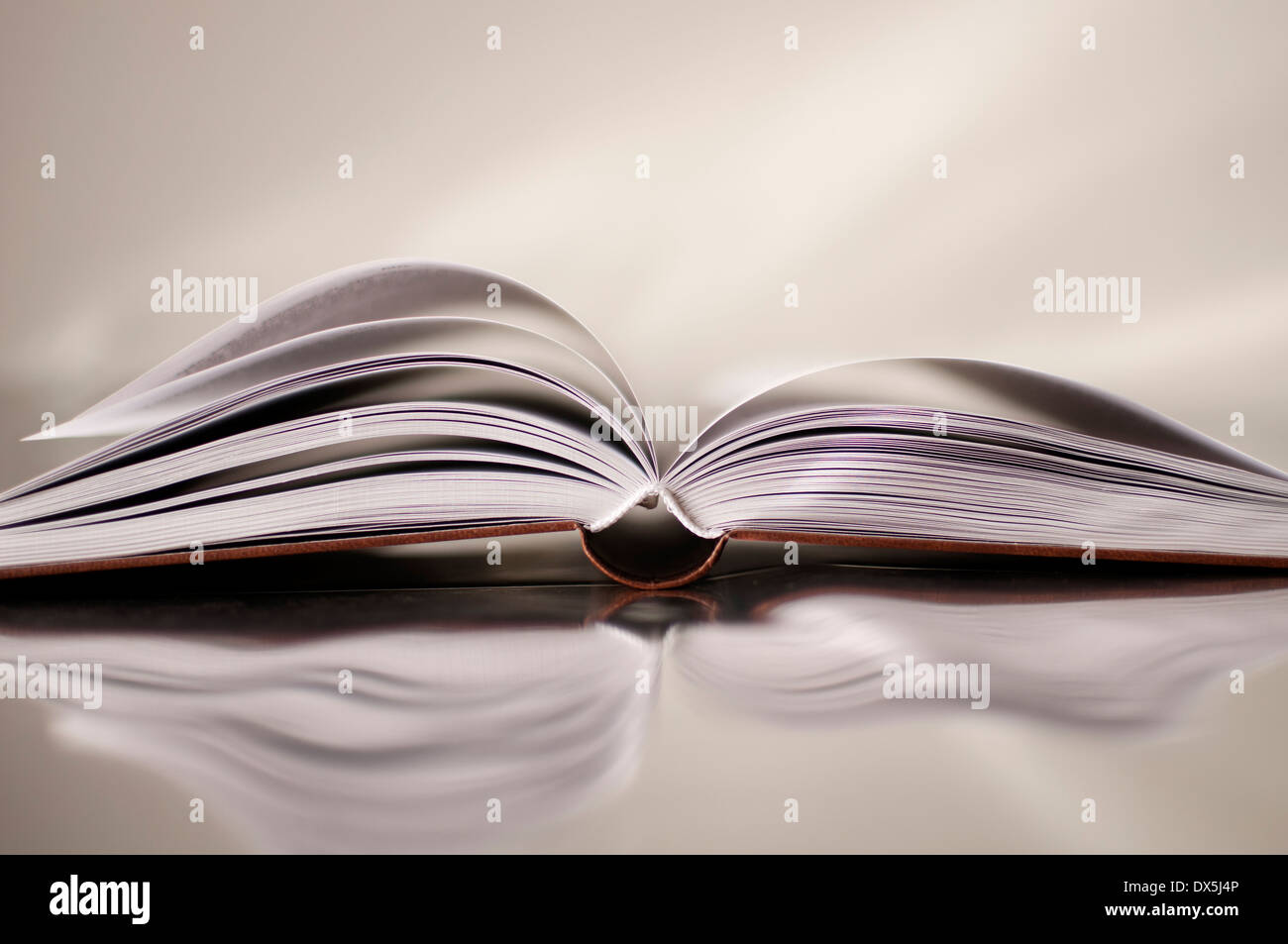 One open book hi-res stock photography and images - Alamy