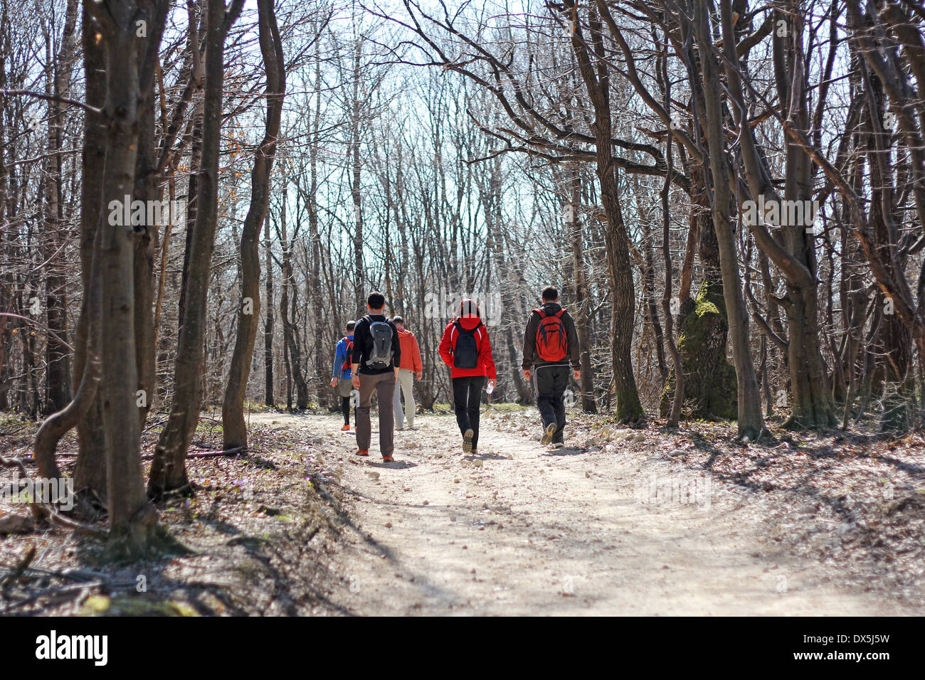 Rear view party people hiking on path in woods Stock Photo - Alamy