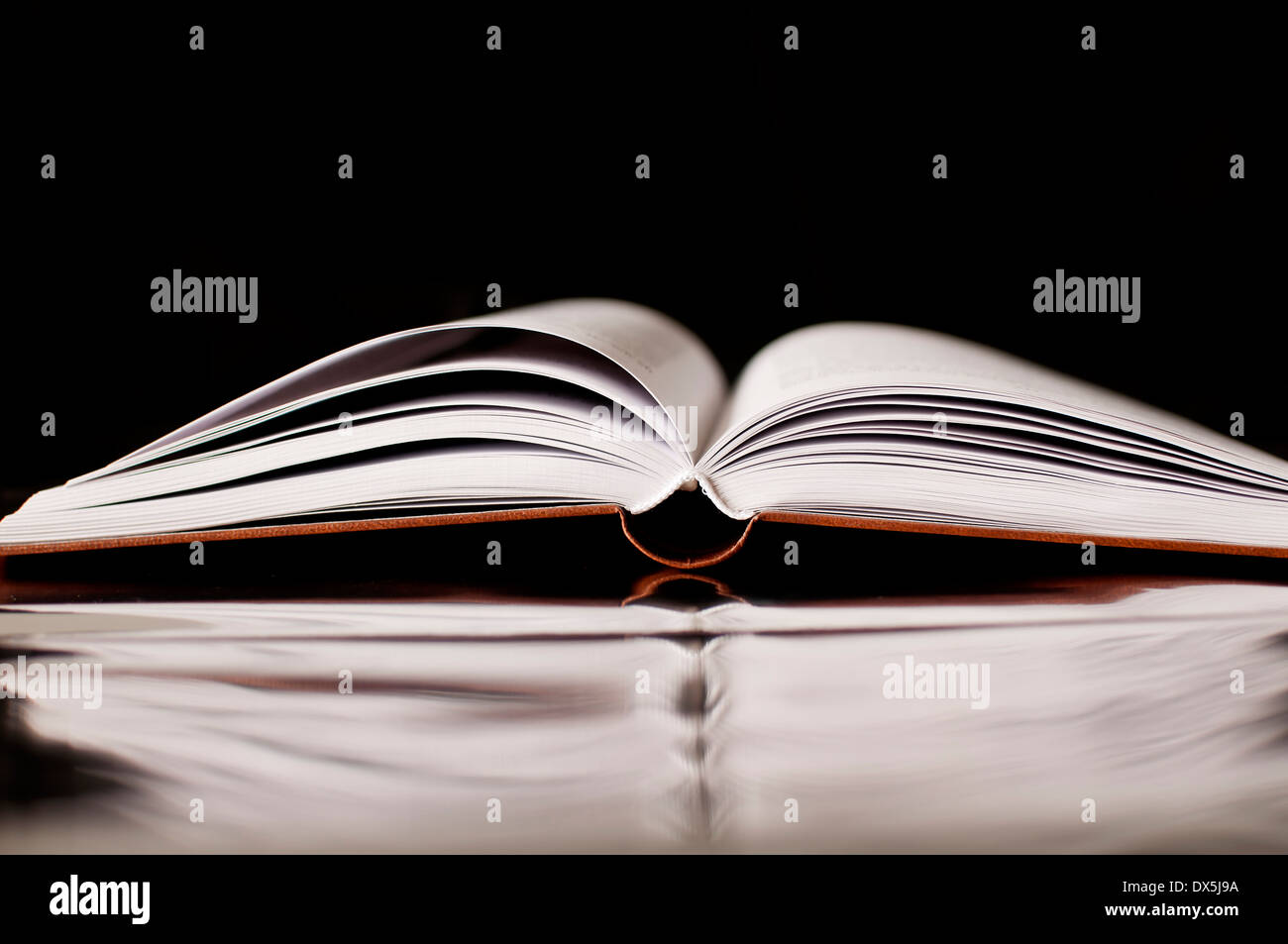 One open book hi-res stock photography and images - Alamy