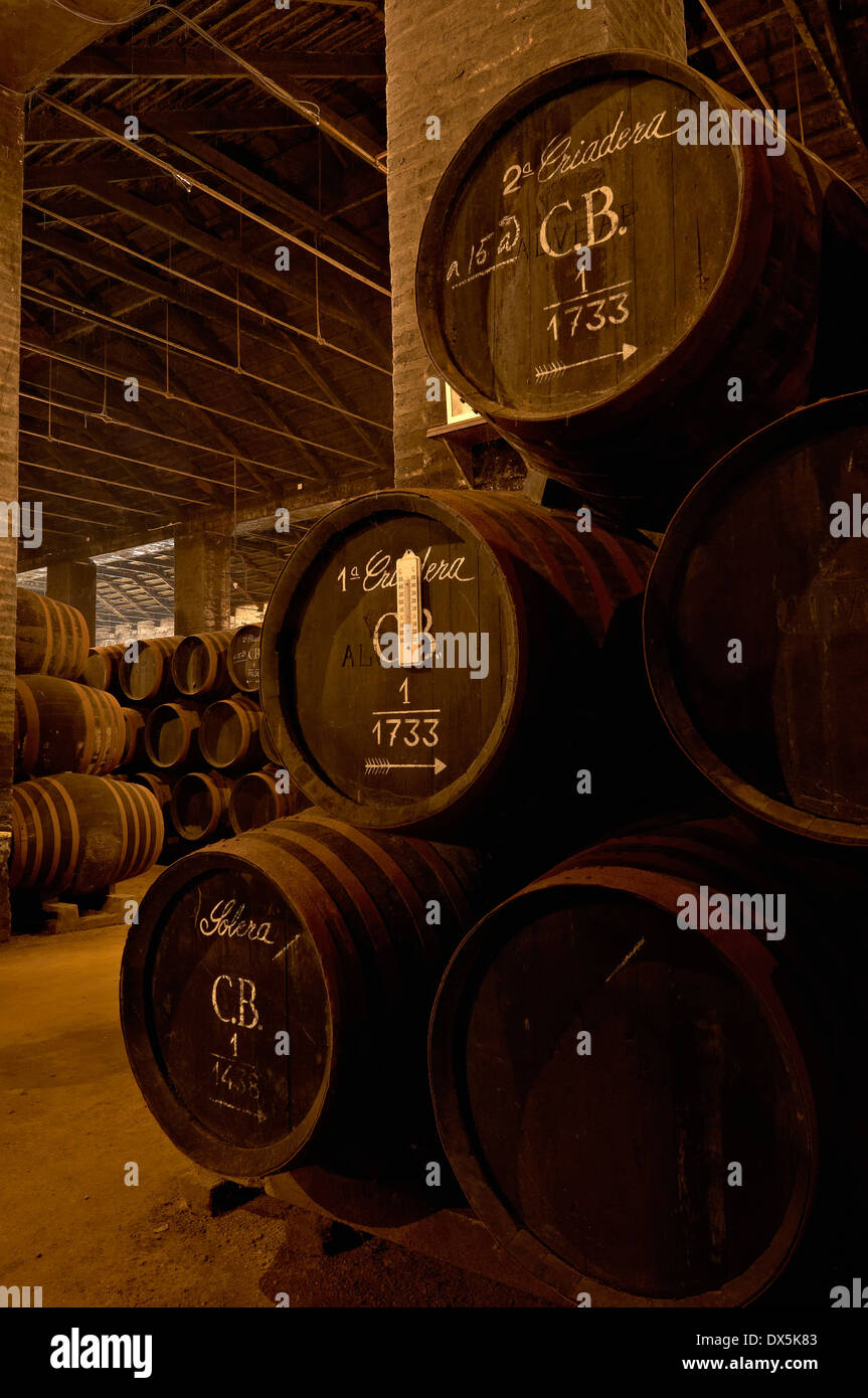 Alvear wine hi-res stock photography and images - Alamy