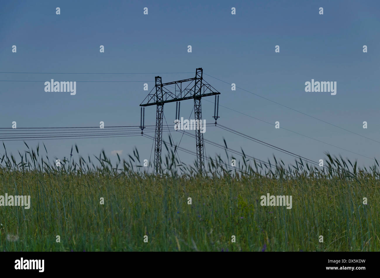 Power transmission electric line in mountain Stock Photo - Alamy