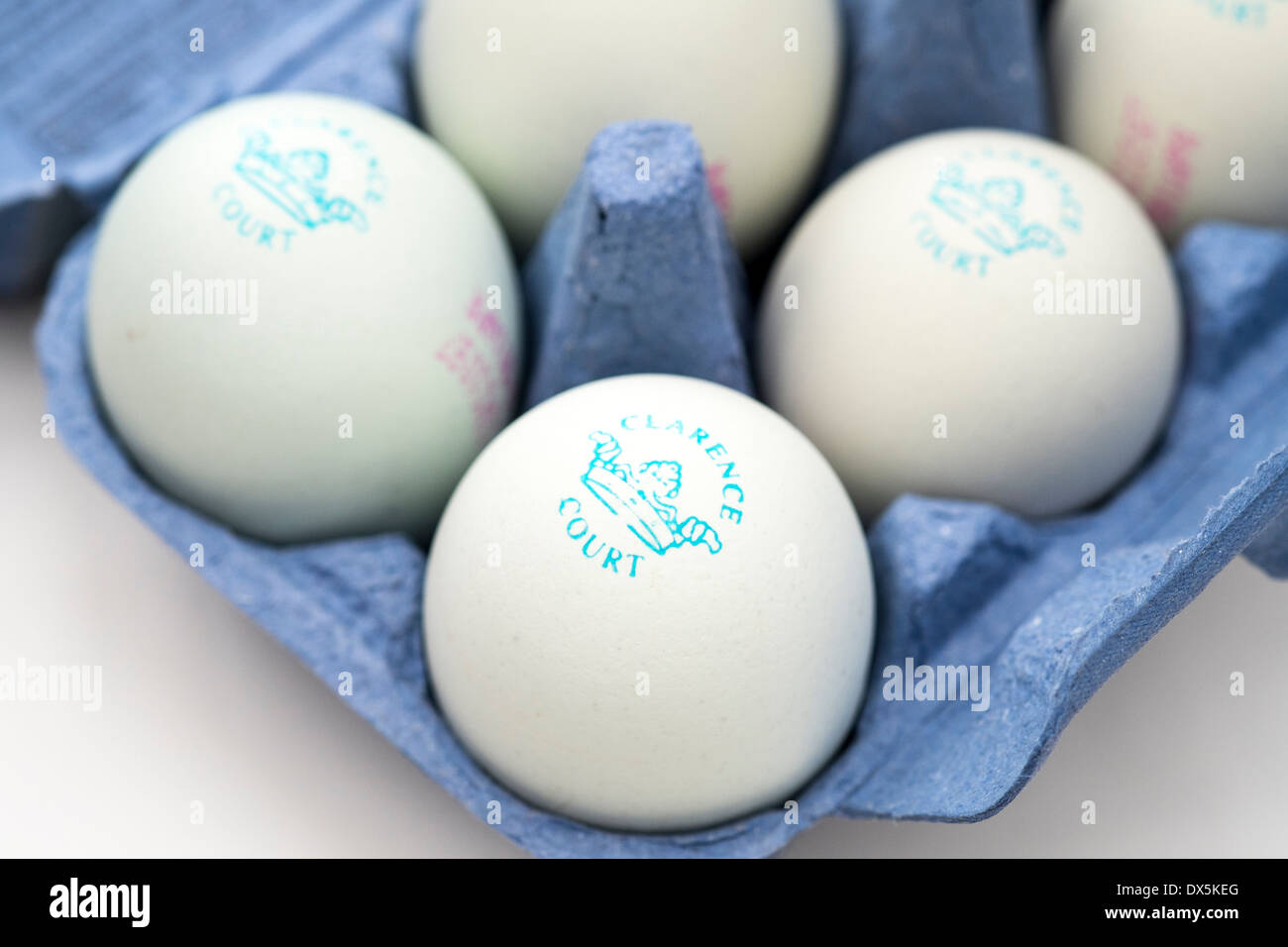 Clarence Court eggs with pastel blue coloured shells in egg box Stock ...