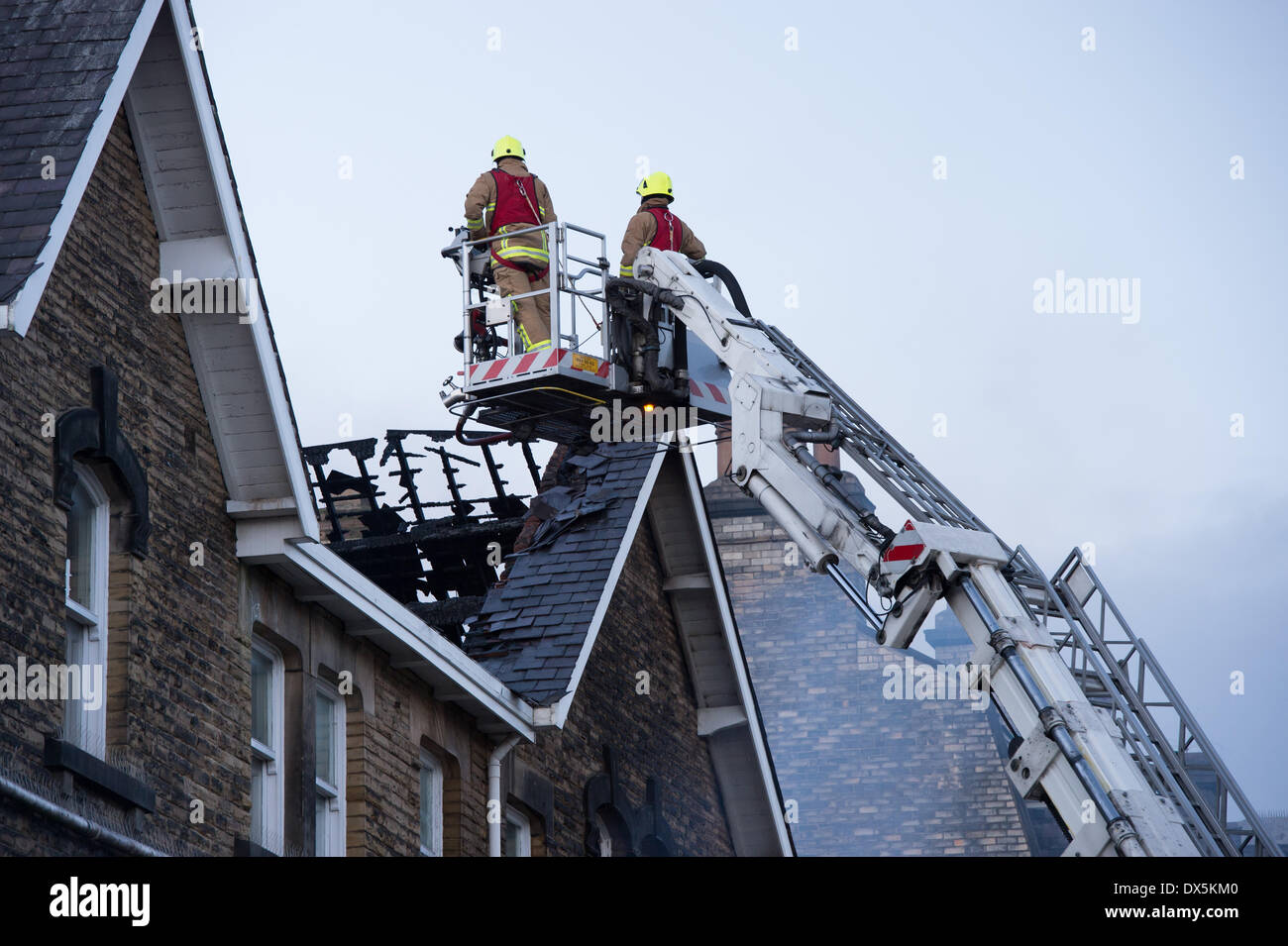 Telescopic Ladder High Resolution Stock Photography and Images - Alamy