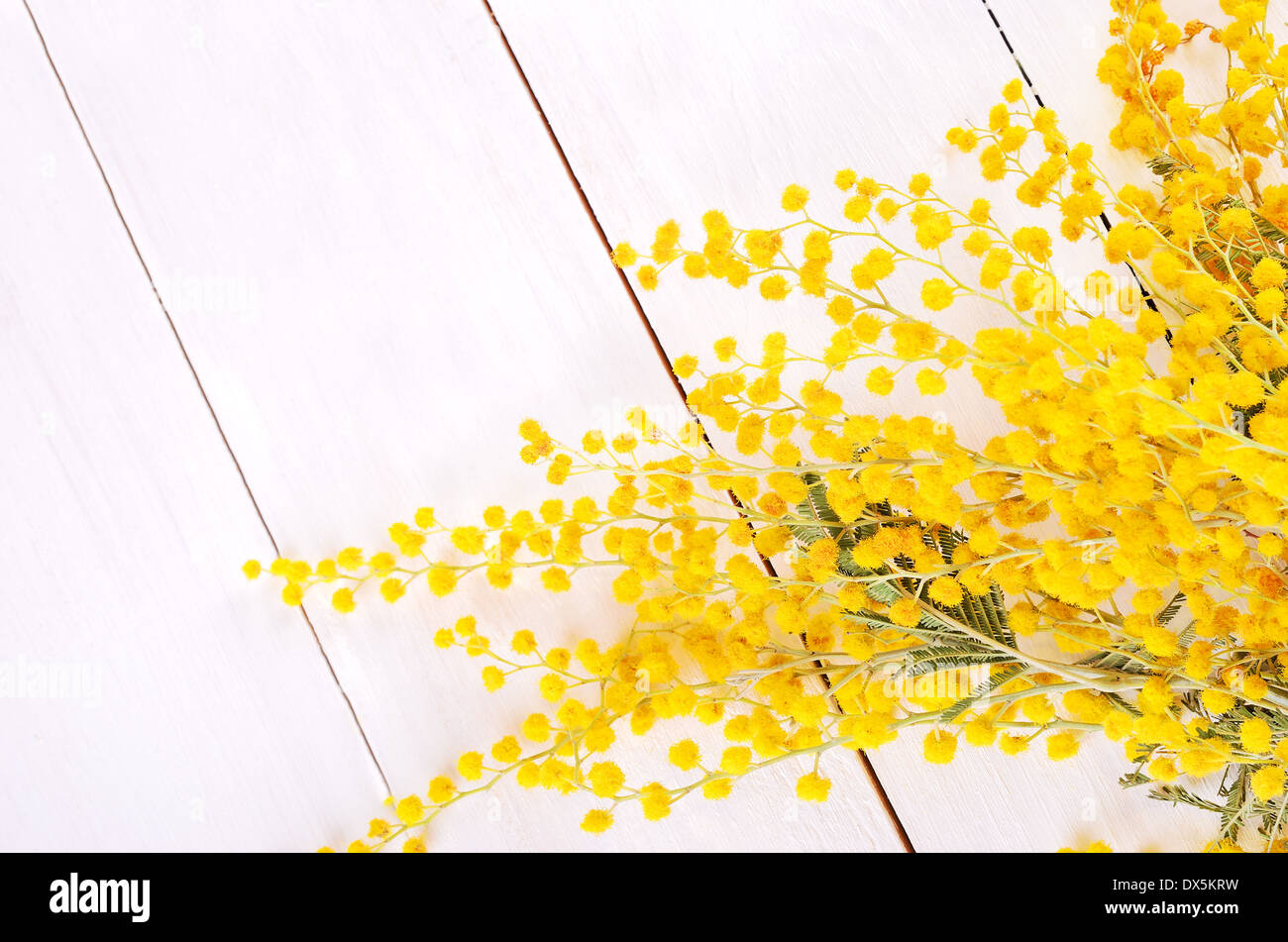 Spring mimosa flowers table hi-res stock photography and images - Alamy