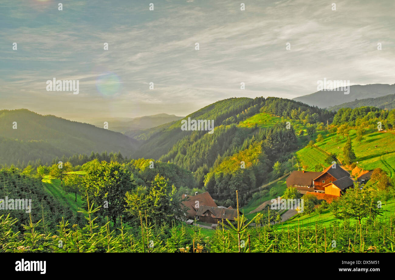 lonely farm in the Black Forest Stock Photo - Alamy