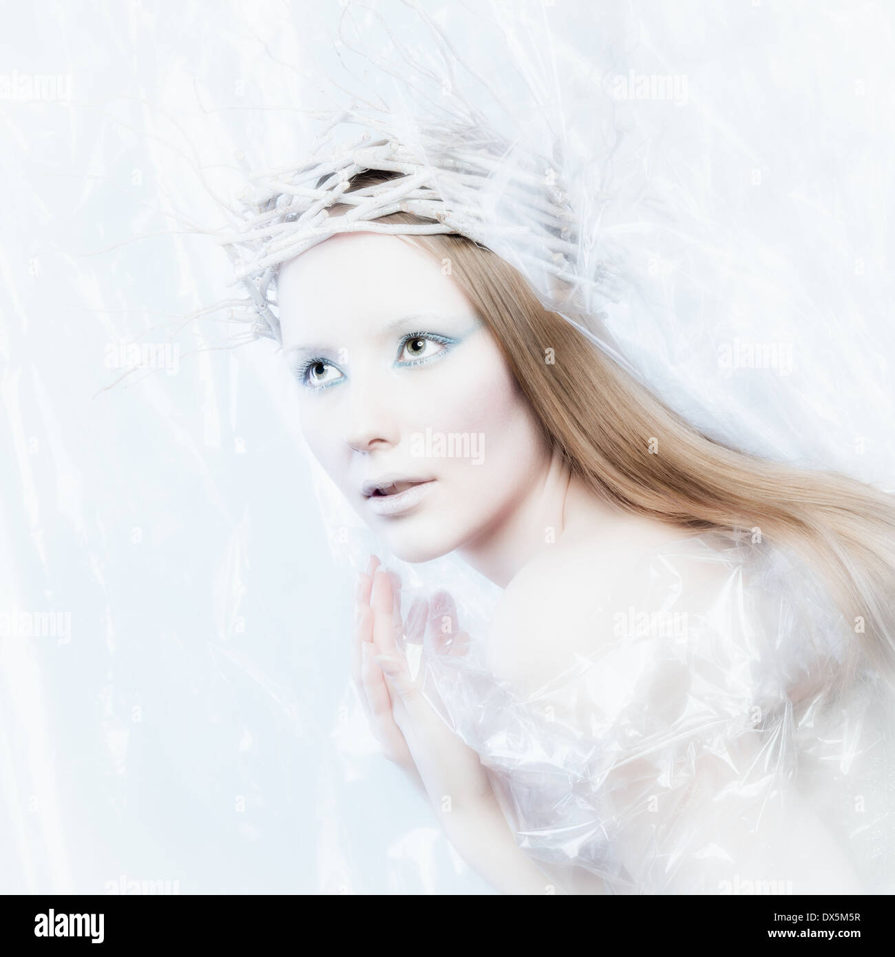 Fantasy ice queen theme, young beautiful woman, studio shot Stock Photo ...