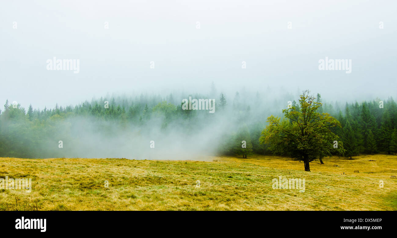 Scenic misty morning in the mountains landscape, Sfanta Ana lake Stock ...