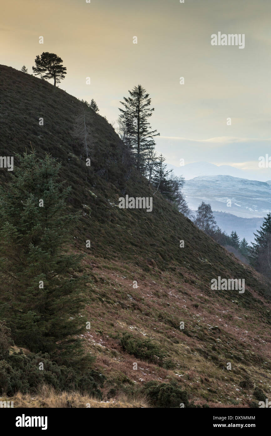 Highland landscape at Strathpeffer in the Highlands of Scotland Stock ...