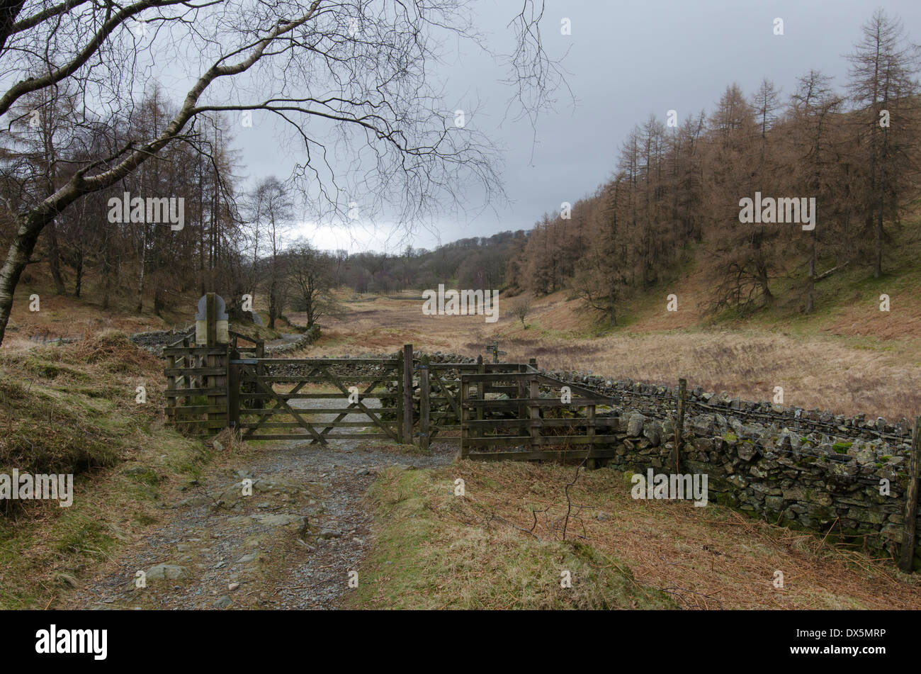 Cold English Lake District scenery. A gate on a path allows walkers to ...