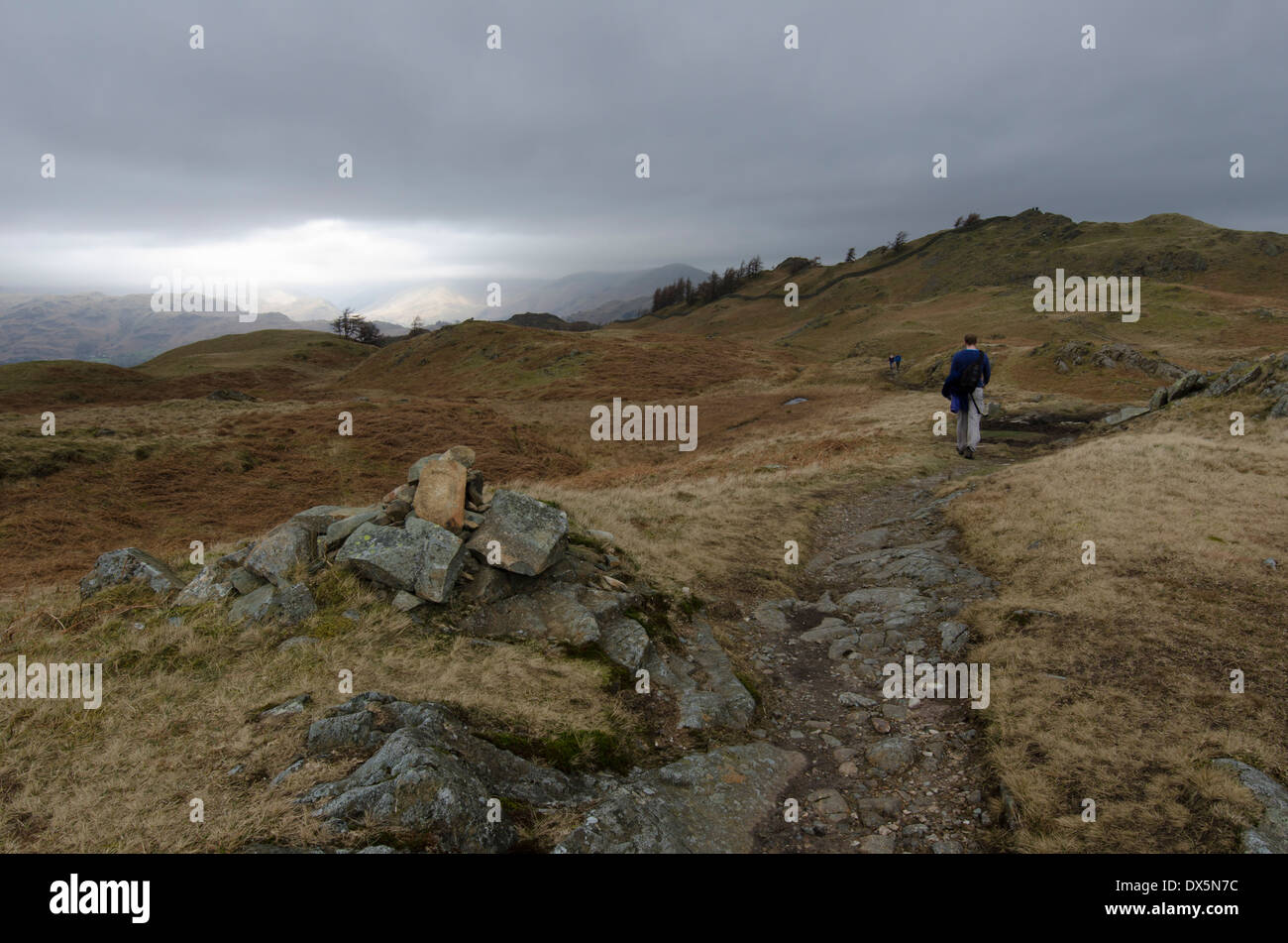 A lone man walking away towards the summit of Black Fell, Lake District ...