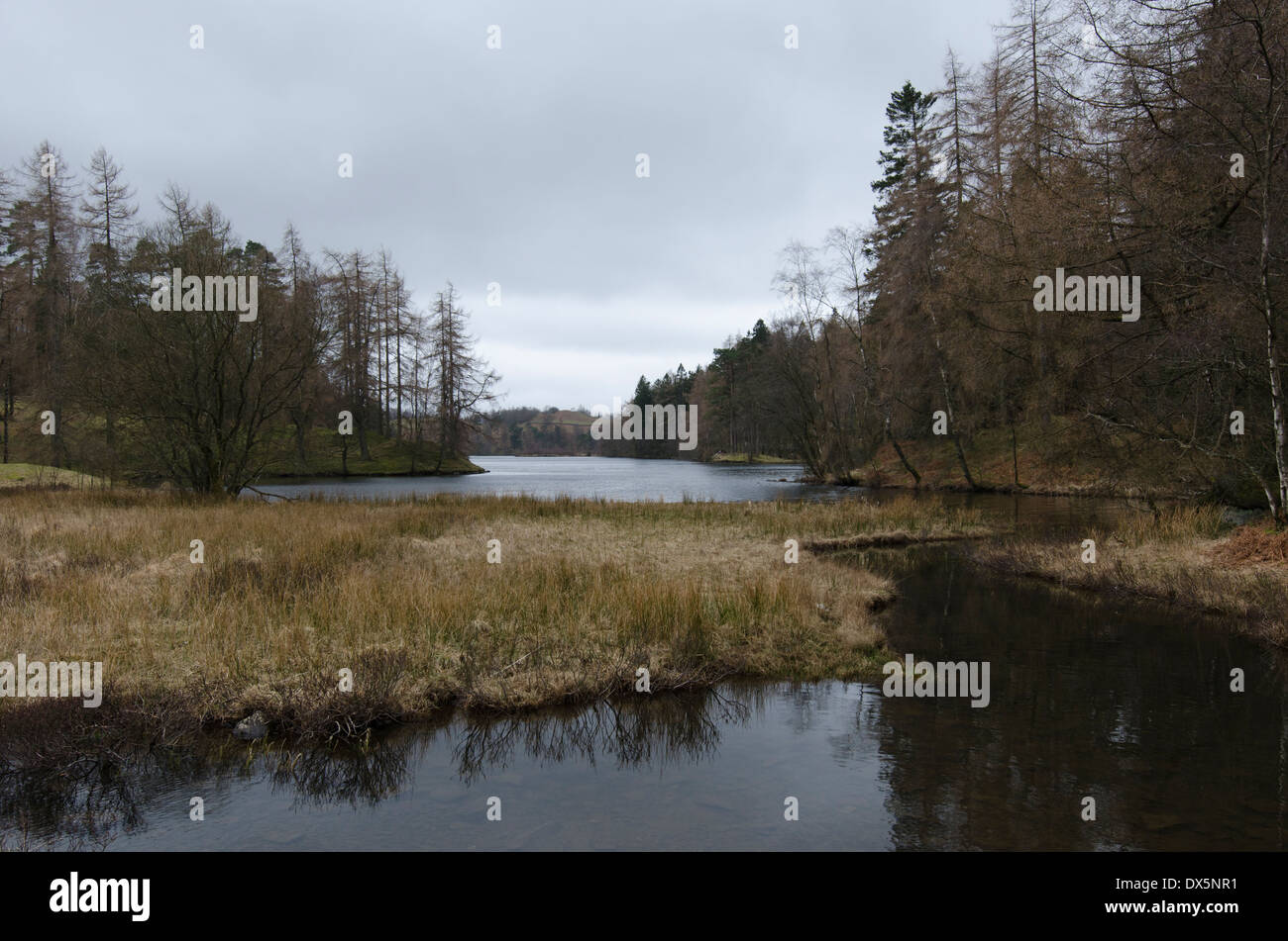 Cold grey hi-res stock photography and images - Alamy