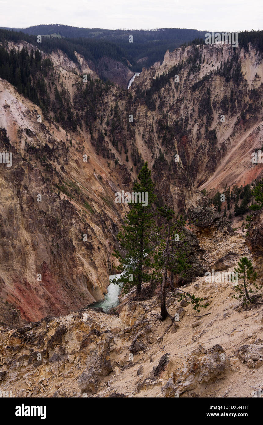 Inspiration point yellowstone hi-res stock photography and images - Alamy