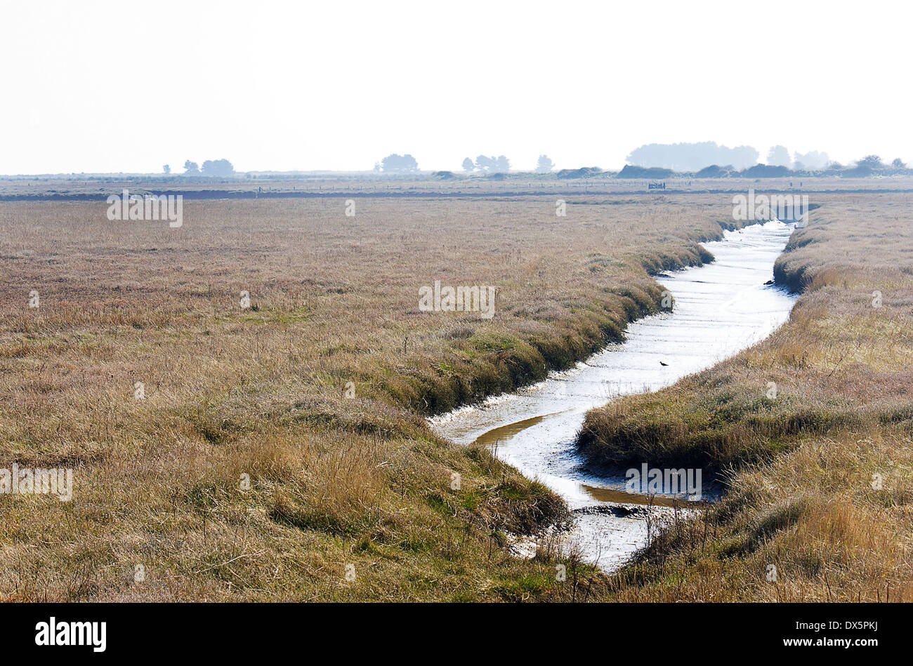 River and field hi-res stock photography and images - Alamy
