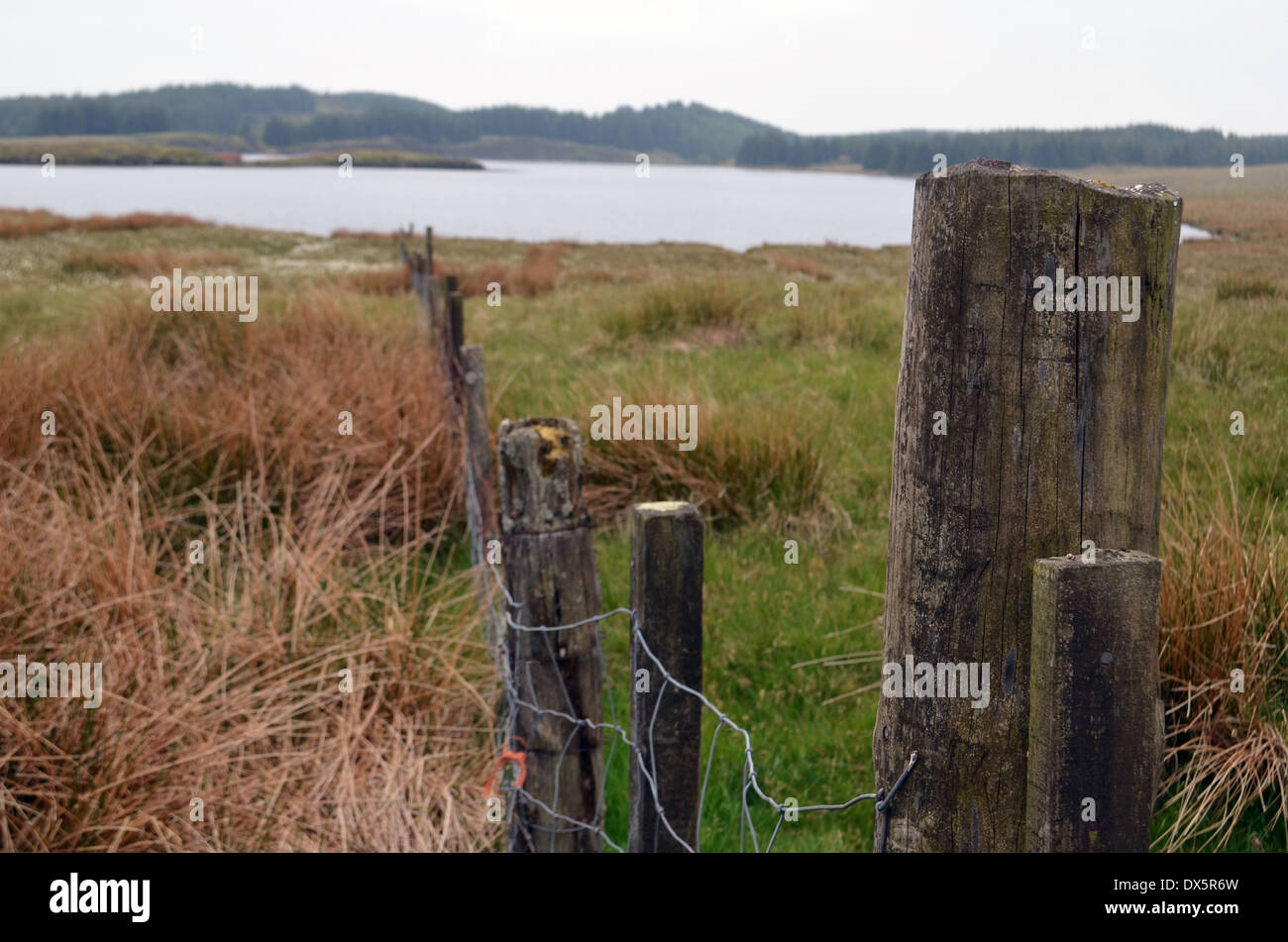 Old wood and wire fence on the Old Kilpatrick Hills, Scotland Stock ...