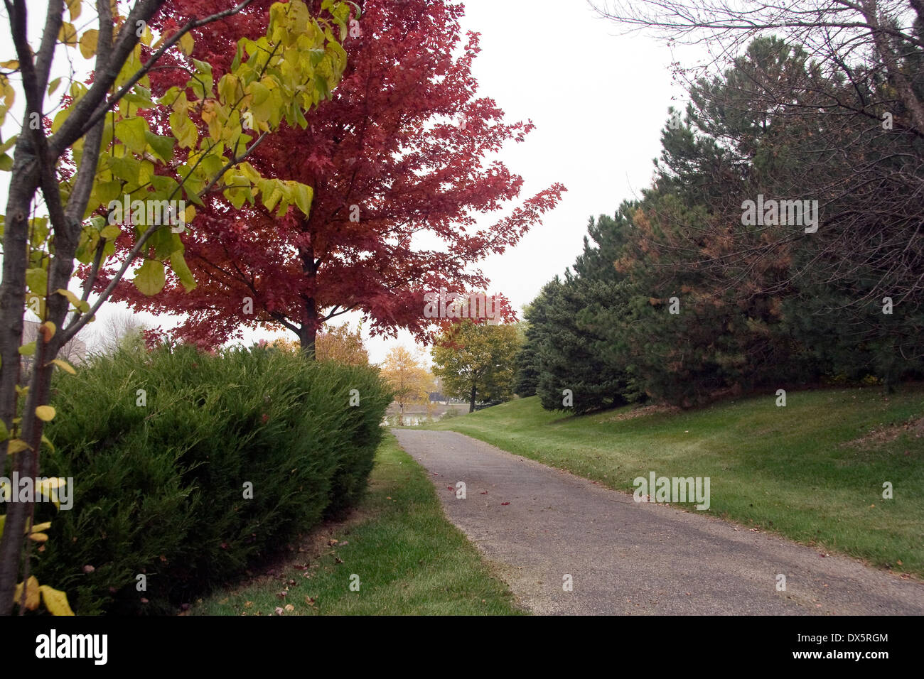 Autumn. Fall in Naperville Stock Photo - Alamy