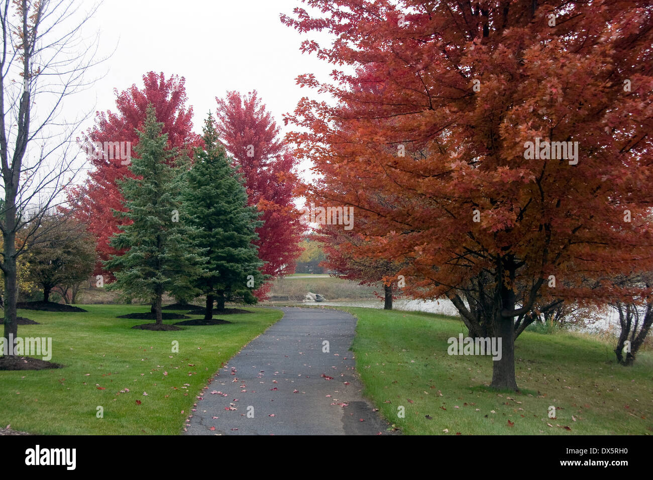 Plamen stanev hi-res stock photography and images - Alamy