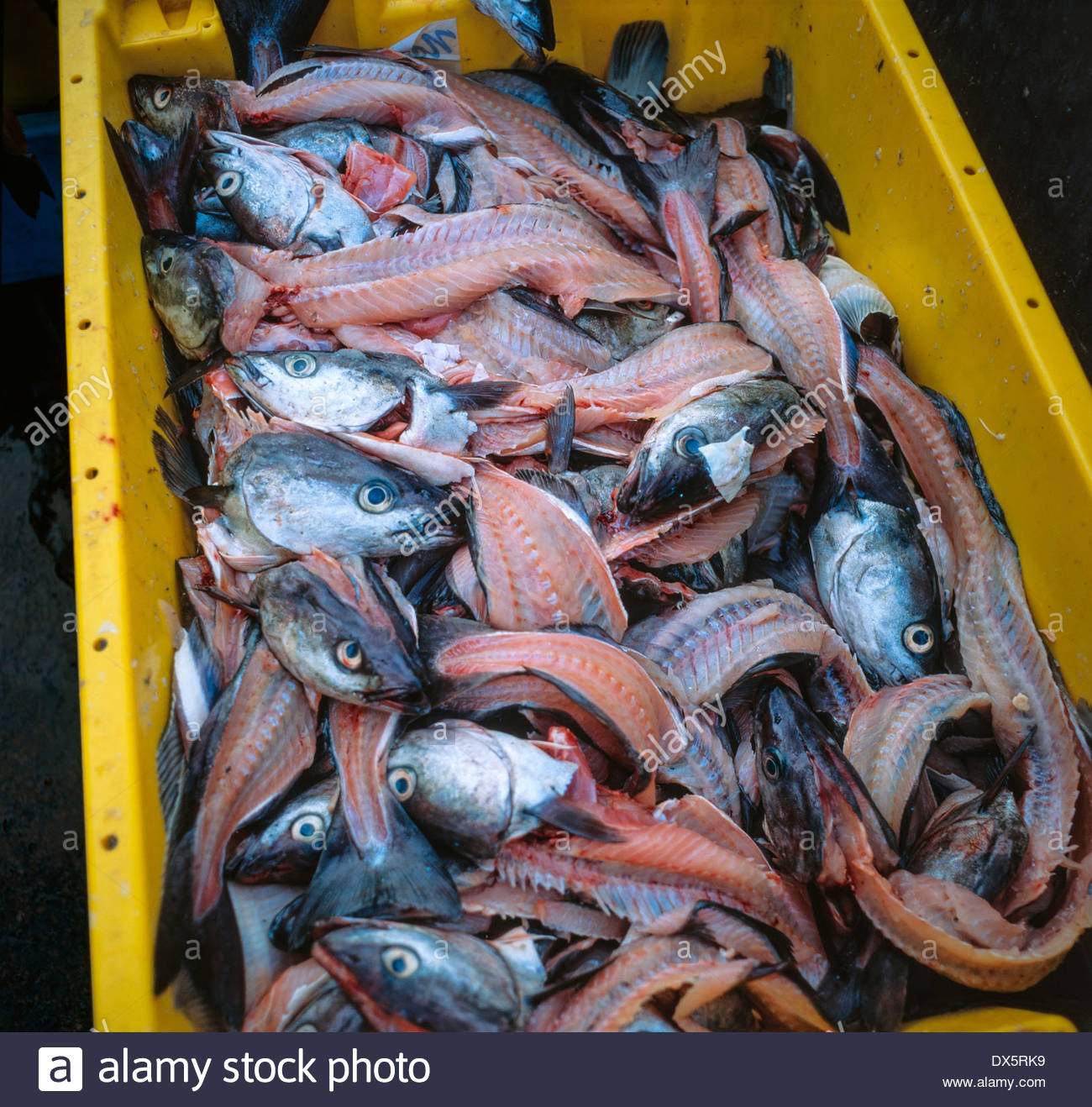 Grimsby Fish Docks Stock Photos & Grimsby Fish Docks Stock Images - Alamy
