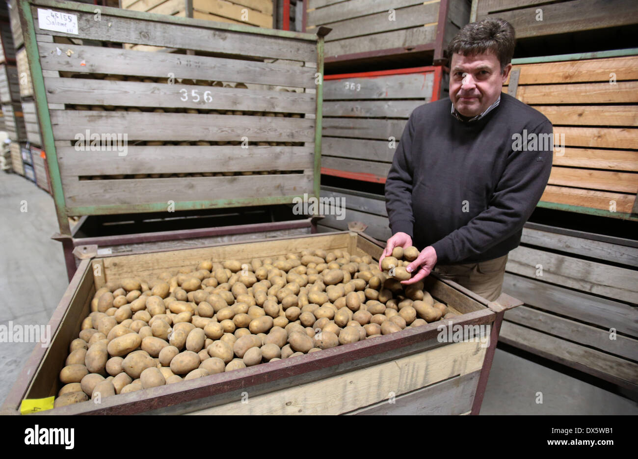 Kartoffelzucht hi-res stock photography and images - Alamy