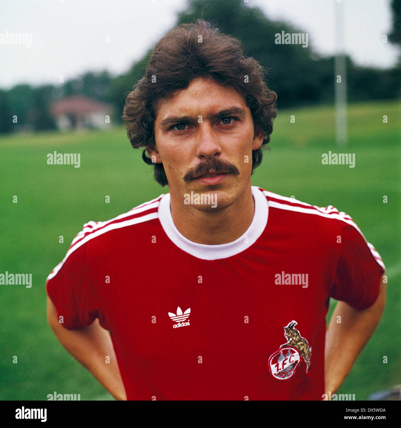 football, Bundesliga, 1977/1978, 1. FC Cologne, team presentation ...