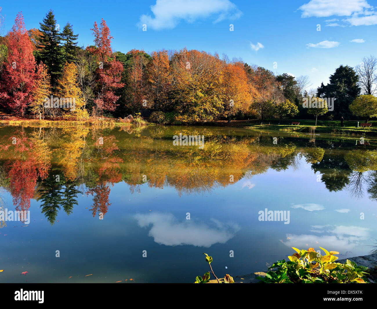 different colors of autumn scenery Stock Photo - Alamy